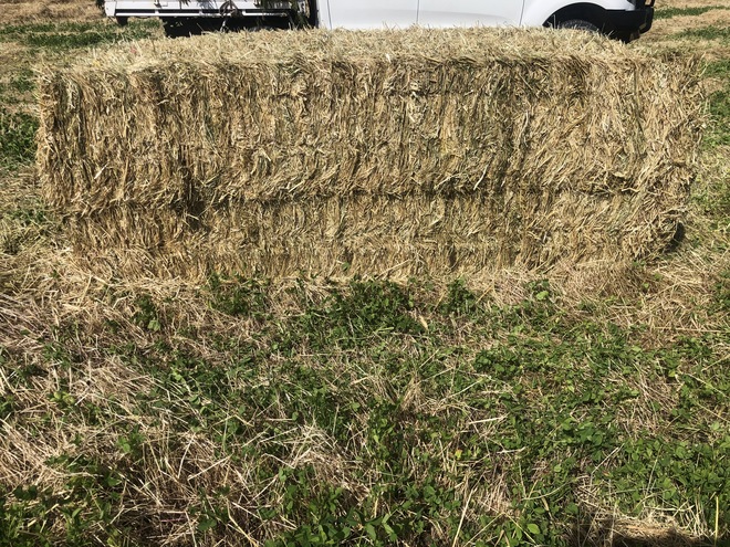 Clover And Rye Hay 550kg 8x4x3 Bales Farm Tender