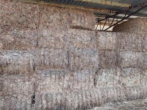 Millet Hay for Sale | Millet Silage | Organic Millet Hay | Wheaten ...