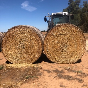 Canola Hay for Sale | Mobey Barley Hay | Canola Straw | Frosted Canola ...