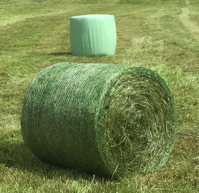 Rye Grass Silage 4x4 -250 x 500 KG Approx Bales | Farm Tender