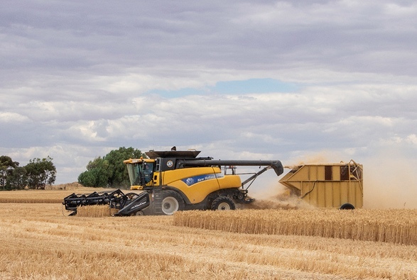 Beating herbicide resistance - Turning weed seeds and chaff into cash ...