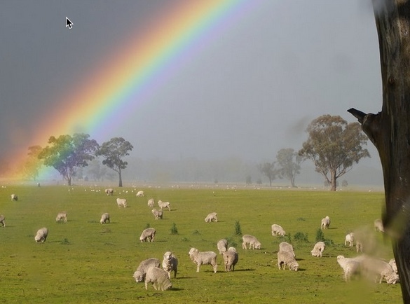 All you need to know about Anthrax | Farm Tender