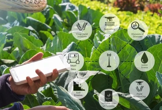 Ag Tech Sunday - SproutX 2020 accelerator program applications now open ...