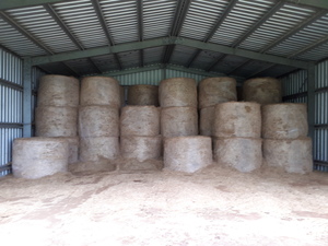 Hay Auction | Farm Tender