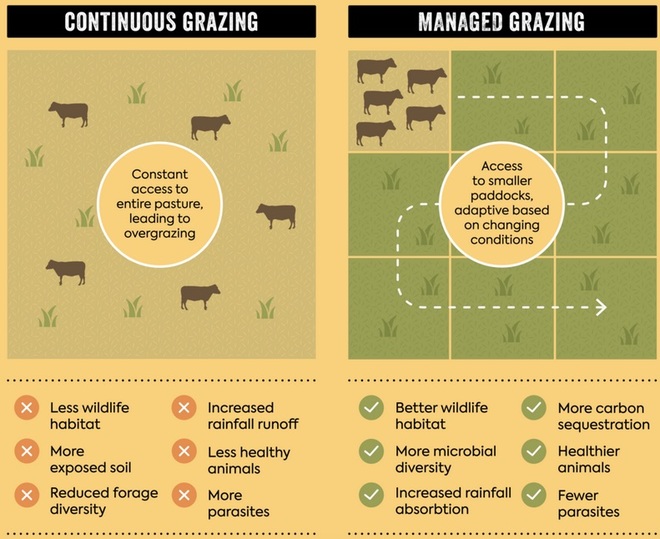Is grass-fed good enough? What really well-managed Livestock means ...
