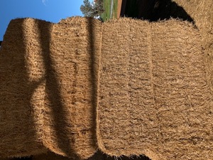 Barley Hay for Sale | Barley Straw | Moby Barley Hay Rolls | Farm Tender
